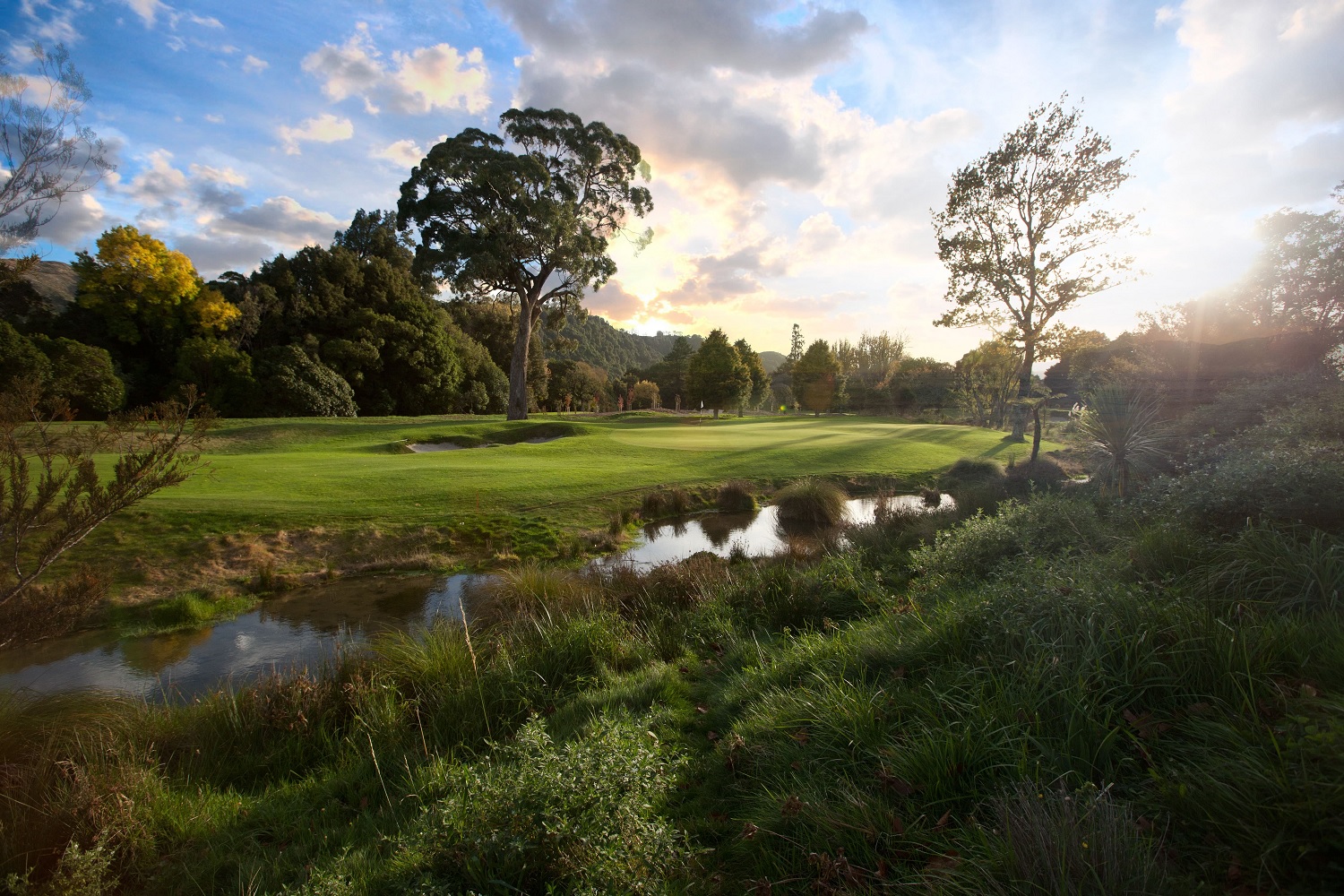Royal Wellington Golf Club (Câu lạc bộ golf Hoàng gia Wellington) | Du ...